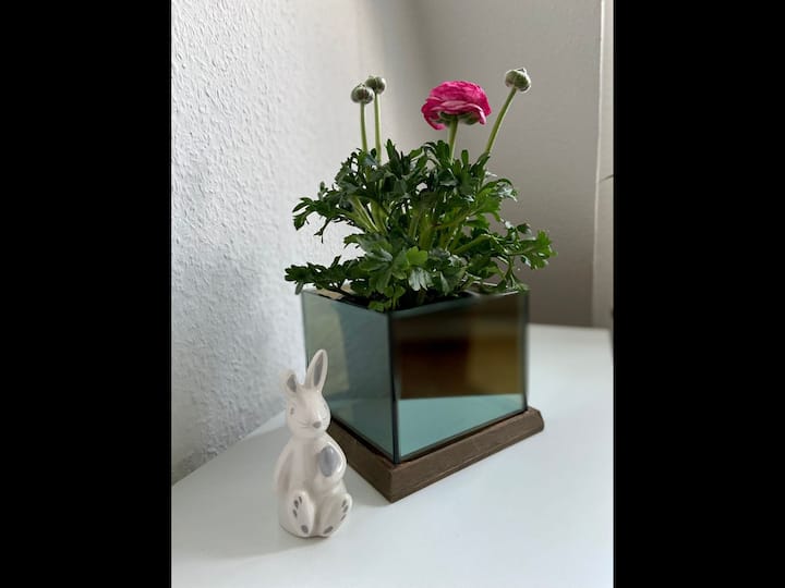 Neu Ferienwohnung Walsrode - Walsrode
