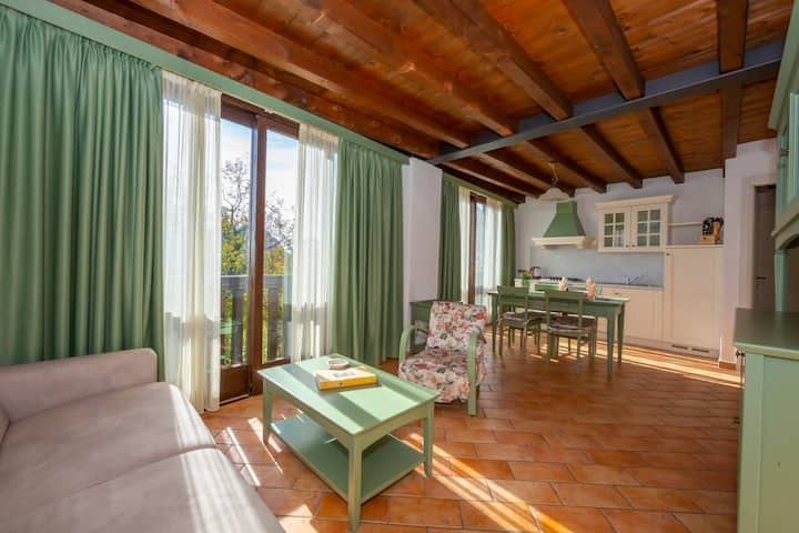 Liano Mimosa -Relax & Priv Parking Place - Gargnano