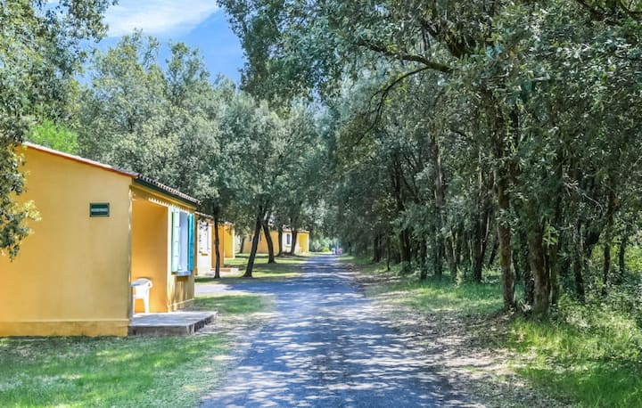 Stunning Home In Saint-savinien - Charente-Maritime