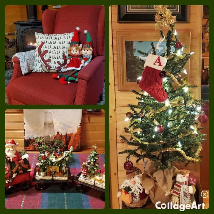 Angie's A-frame - Ashford, WA