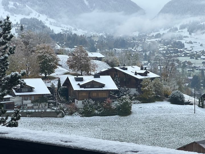 Charming Flat In The Heart Of Saanen - Gstaad