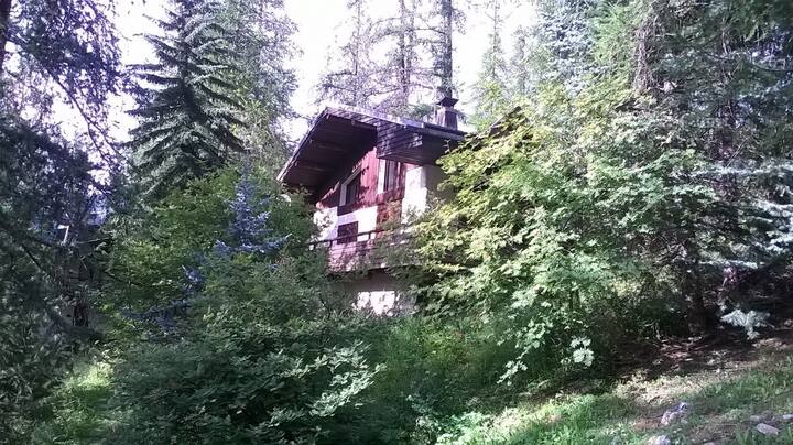 Chalet Les Chandelles 11 Pers. Pied Pistes - Les Orres