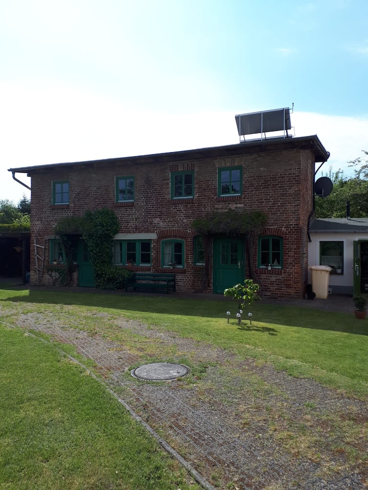 Neu Land Ambiente Zinnowitz 3 - Zinnowitz