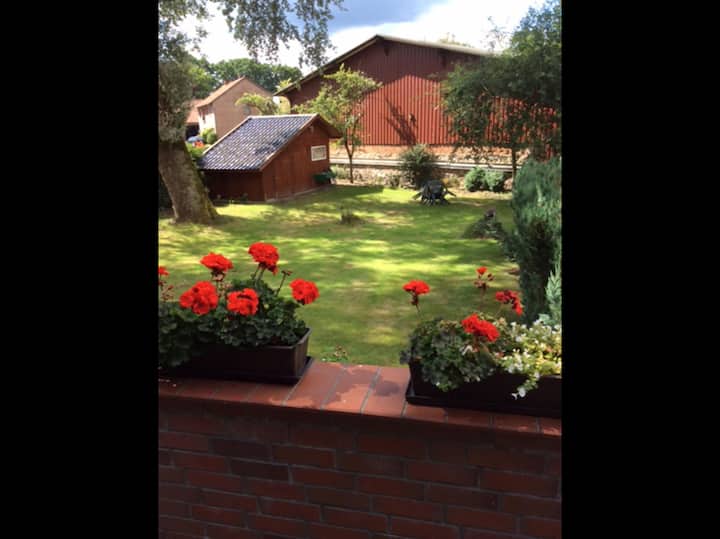 Fewo 1 Lüneburger Heide - Schneverdingen