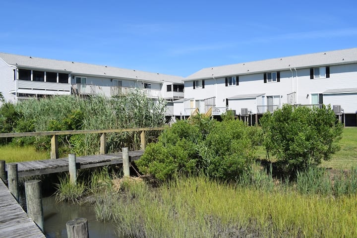 Teal Away - Amazing Views, Shared Pier, 2 Kayaks - Chincoteague, VA