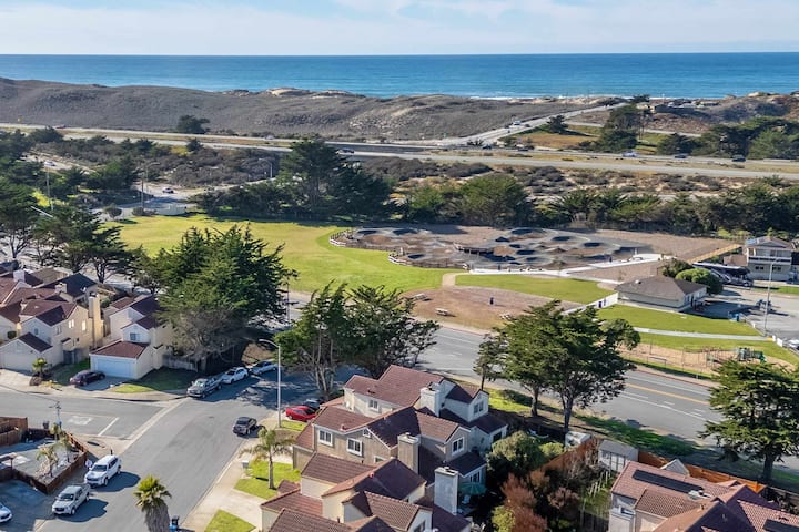 Succulents & Seashells – Coastal Paradise By Beach - Marina, CA