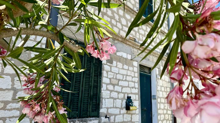 N275 - Numana, Apartment In The Center With Garden - Sirolo