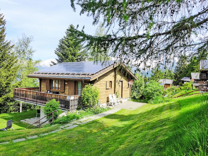 Chalet Larix By Interhome - Bürchen