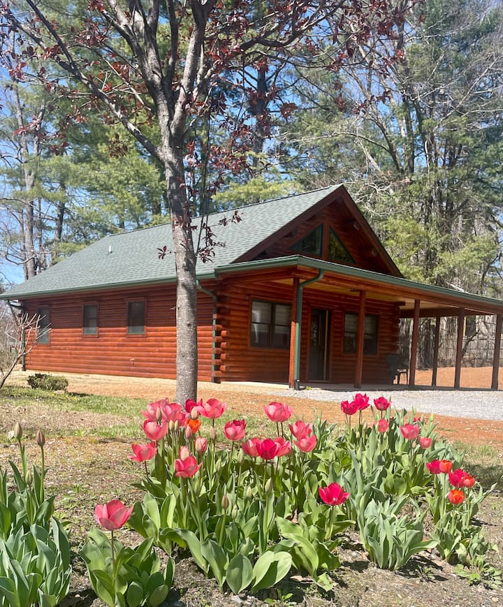 Ecusta Trailhead Cabin - Hendersonville, NC