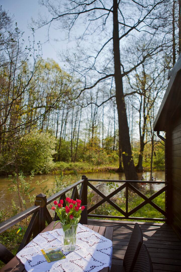 Ferienhaus 4 Prs. (249647) - Lübbenau/Spreewald
