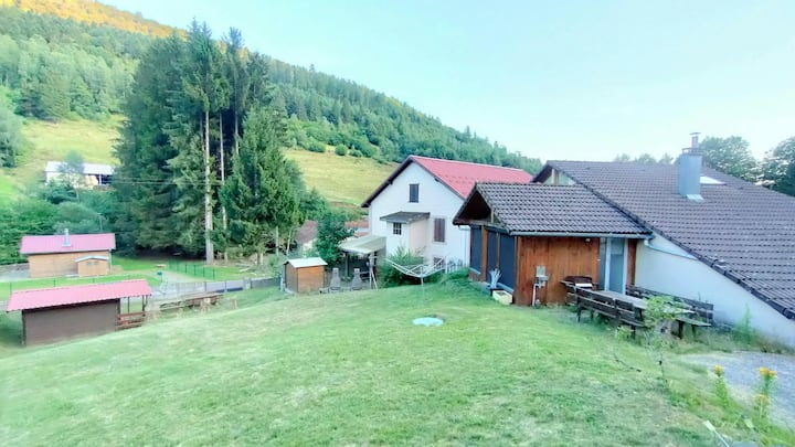 Gîte De La Hutte, Grand Jardin Privatif & Pétanque - Ballon d'Alsace