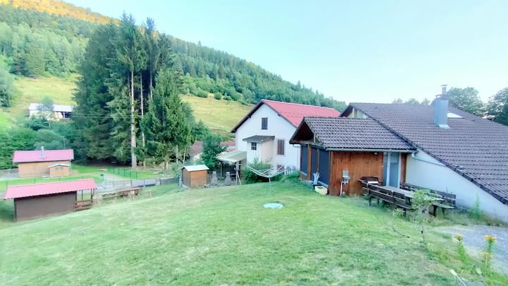 Gîte De La Hutte, Grand Jardin Privatif & Pétanque - Ballon d'Alsace