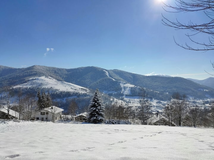 Gîte De La Hutte, Grand Jardin Privatif & Pétanque - Lorraine