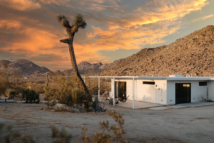 Zebra Shadow By The Cohost Company - Joshua Tree, CA