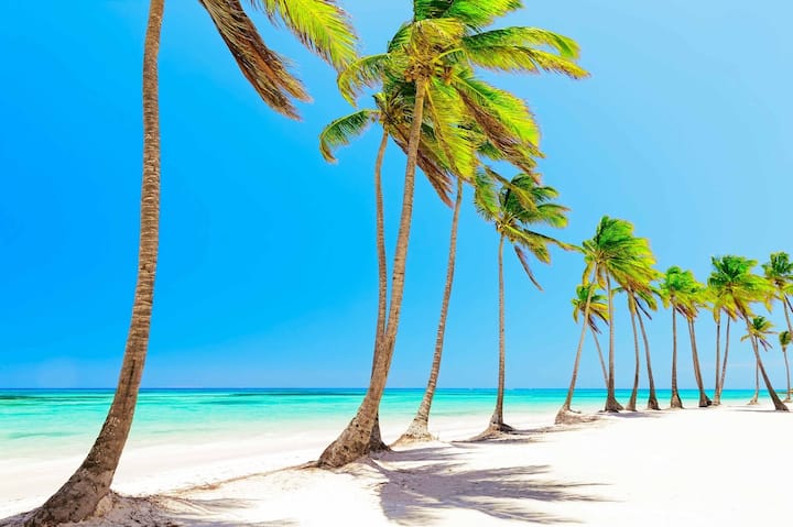 ®{The~beach~essence} @Tanama,capcana +Pool+gym+bbq - Punta Cana