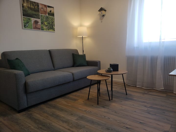Apartment "Buche" Wheelchair Accessible - Lauterbad