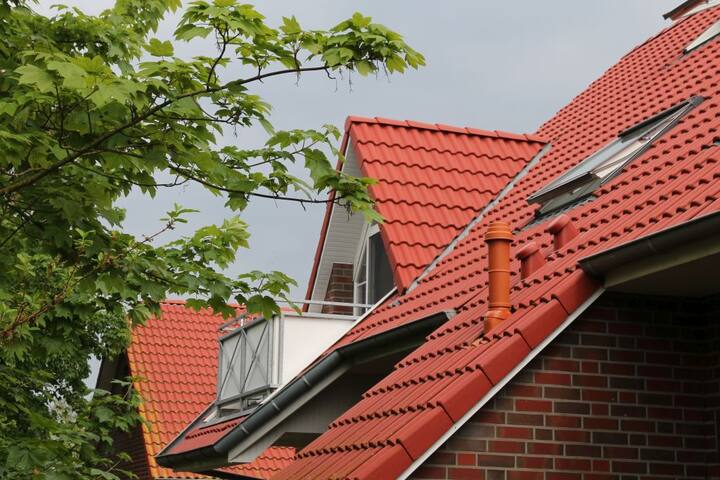 Doris - Greetsiel