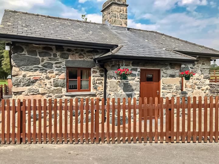 Glanllyn Lodge - Bala