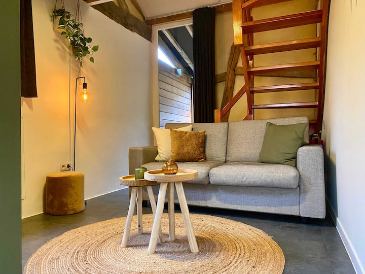A1. De Fries: Duplexsuite With Terrace - Peer