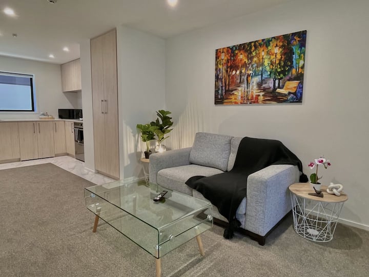Modern 2br Apartment On Salisbury Street - Christchurch, New Zealand