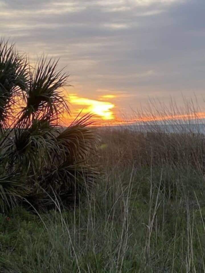 Hs-1215 Ocean View | Pool | Hot Tub | Lazy River - マートルビーチ, SC