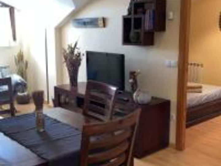 Appartement Villanúa, 3 Pièces, 4 Pers. - Canfranc