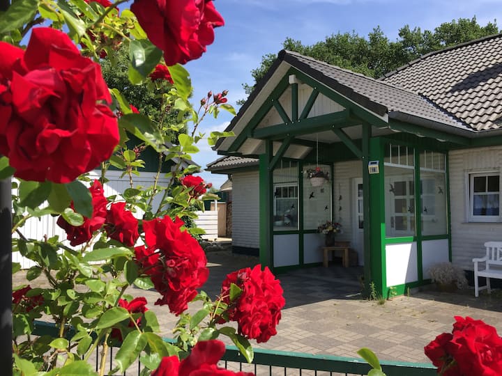 Ullo's Schwalbennest - Lassan