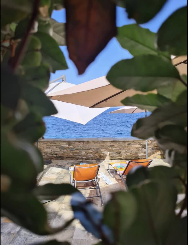 Casa Torra D'erbalunga - Brando