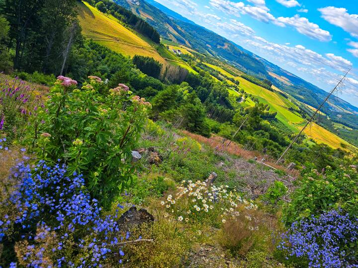 Ferienwohnung Gartenblick Mit 50 Qm - Bestwig