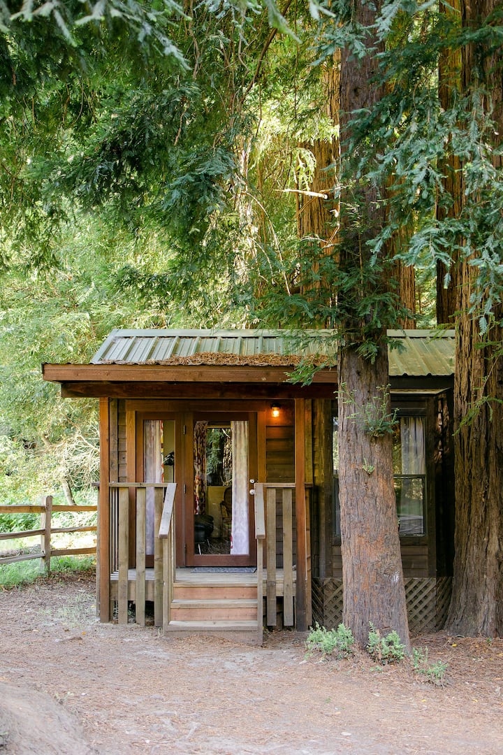 Onsite Dining, Camp Shop & Tavern With Live Music - Big Sur, CA