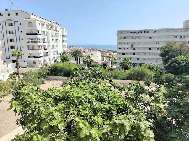 Torrablanca Marina Danuria - Guardamar del Segura