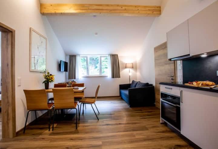 Kernbuche, Siegelsbacher Mühle - Mosbach