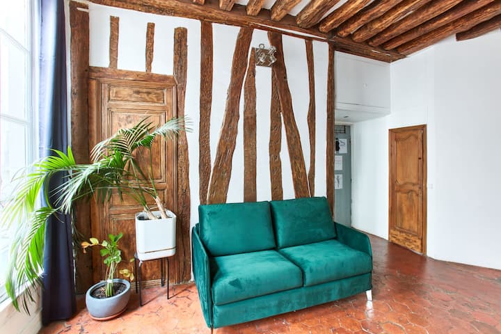 Unique & Lovely 1br Flat In The Heart Of Paris - Paris