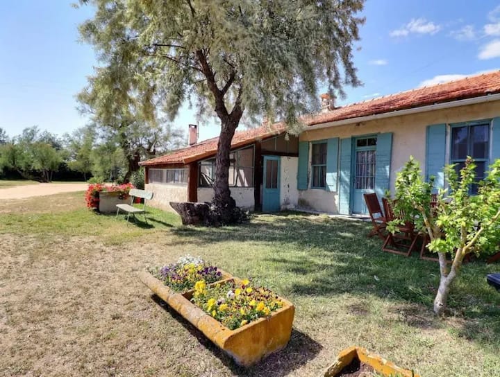 Maison à Saintes-maries-de-la-mer - Saintes-Maries-de-la-Mer