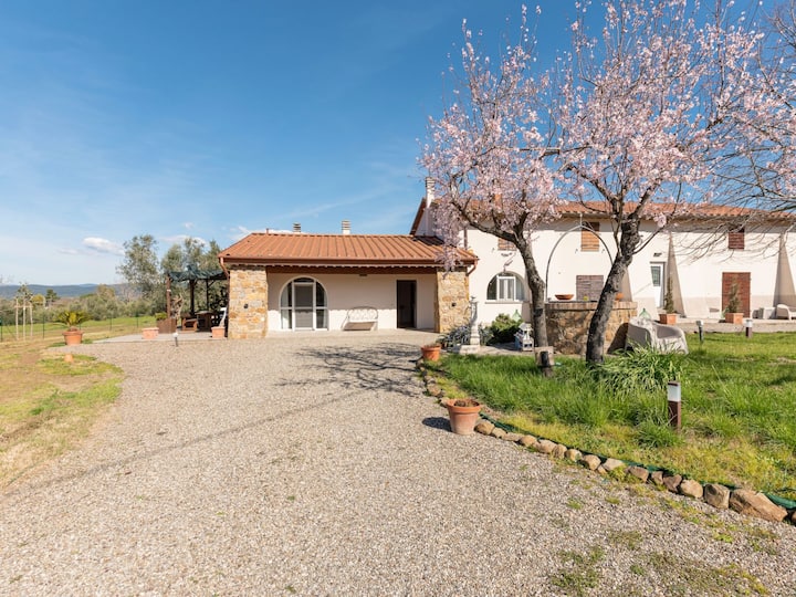 Il Mondanespole By Interhome - Follonica