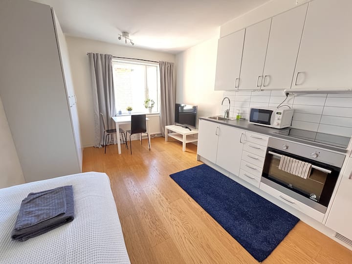Cozy Quaint Flat - Stockholm