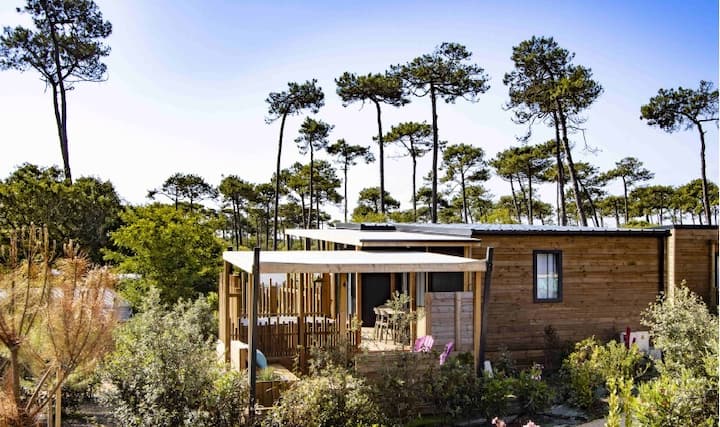 Chalet Badiane 4 Pièces 6 Personnes - Aubigny-sur-Nère