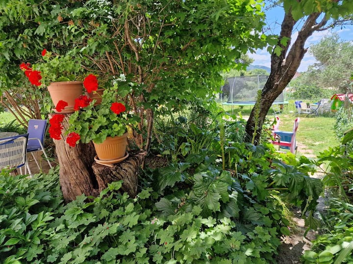 A-22552-a Appartement De Trois Chambres Avec La - Rab