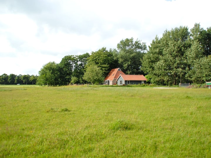 Belle Ferme Frisonne Au Milieu De La Nature - Drachten