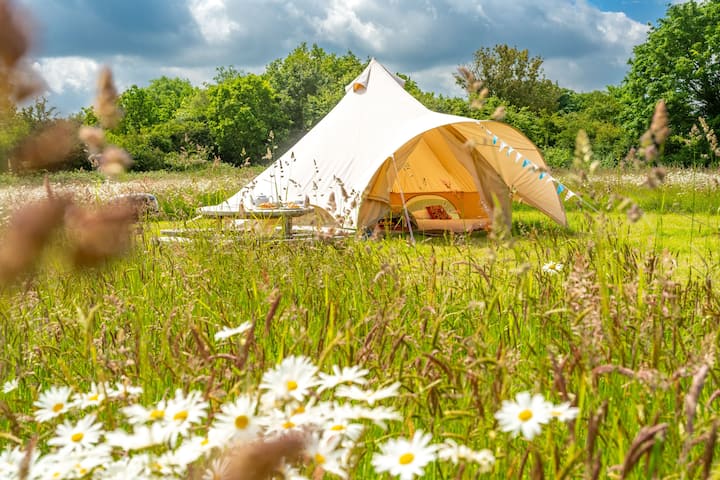 Poppy - Blanca's Bell Tents - Old Hunstanton