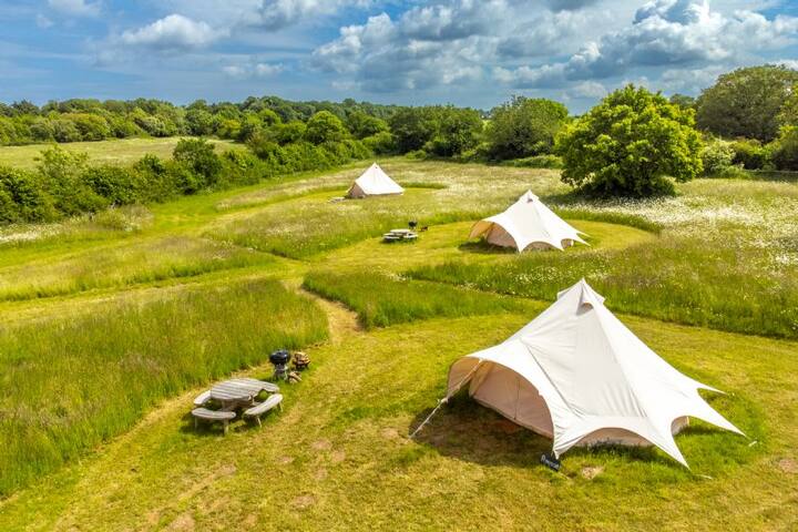 Red Clover At Blanca's Bell Tents - Old Hunstanton