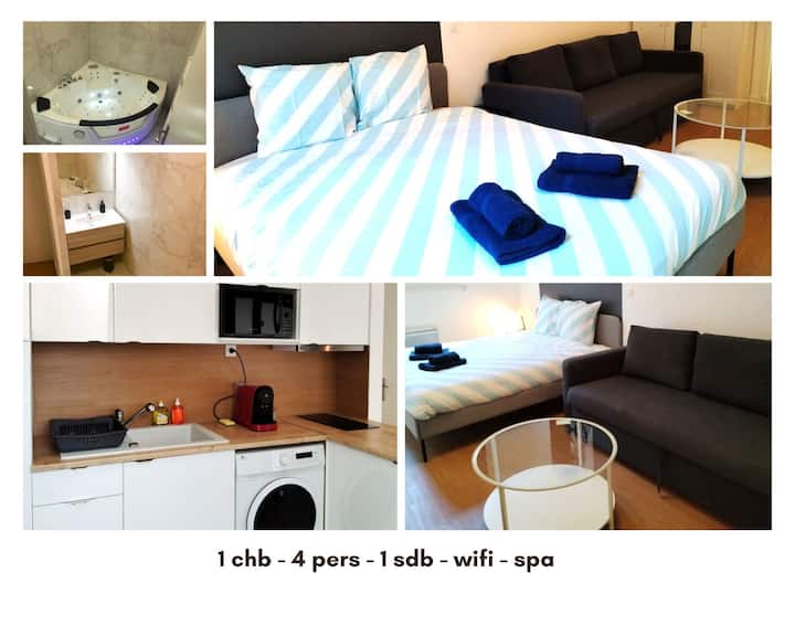 Vierzon Centre - Joli T2- Balnéo- Wifi - Vierzon