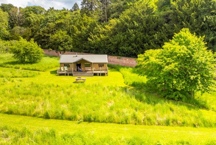 Cygnet - Exton Park - Lantern And Larks - Oakham