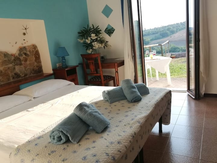 Agriturismo Podere Verdicchio - Camera Acqua - Magliano in Toscana