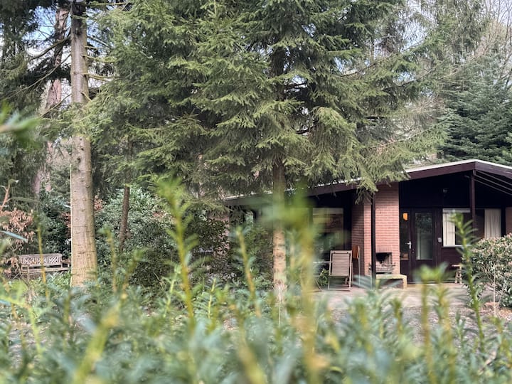 Boshuisje Met Open Haard - Ommen