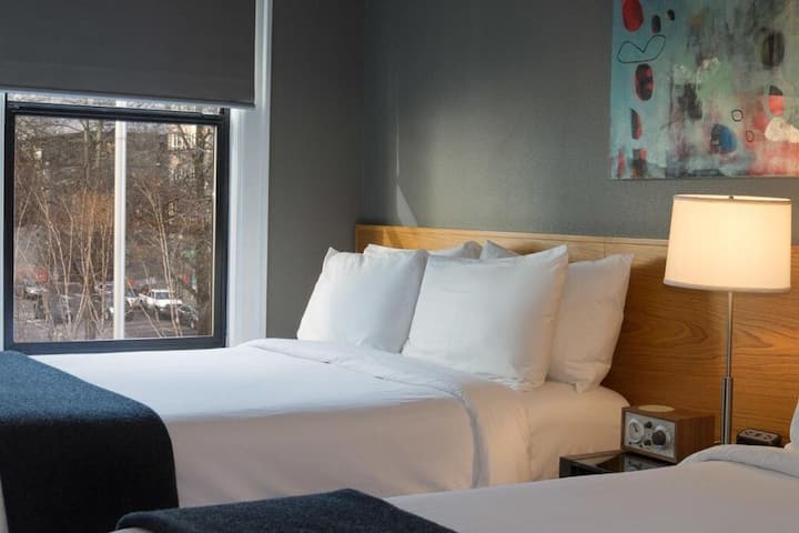 Lake View, Pop Culture, City Highlights | 3 Units - Seattle, WA