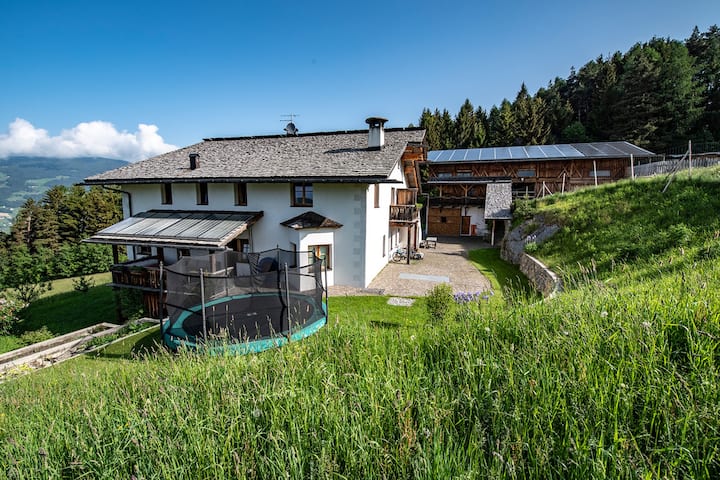 Biohof Maurer Apt Vogelstimmen - Brixen