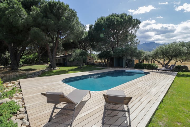 Zinzala: Bergerie Avec Piscine Situé En Plein Coeu - Corsica