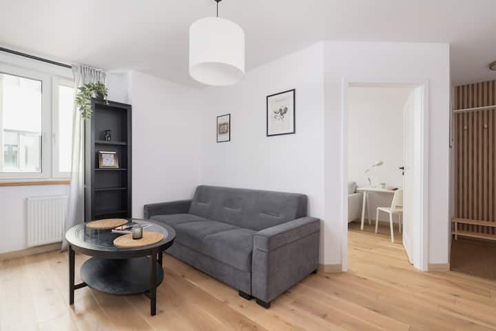 Chopina 16 | Fashionable Apartment | Remote Work - Katowice