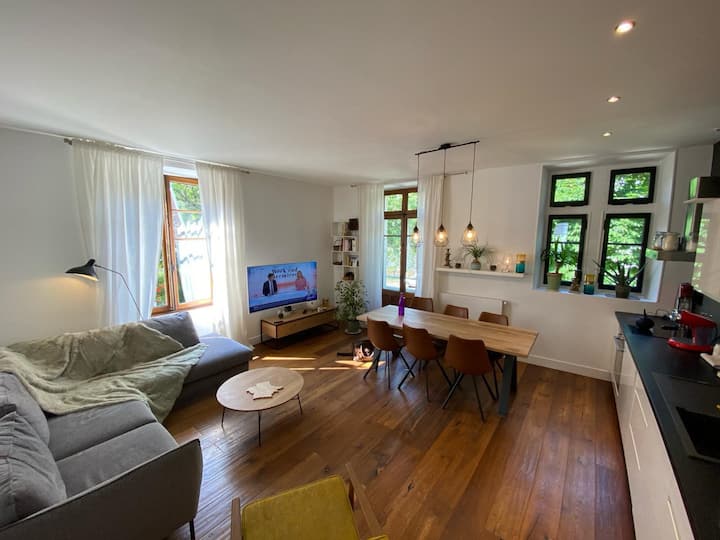 Gabriel - Appartement Confortable à Deux Pas Du - Veyrier-du-Lac